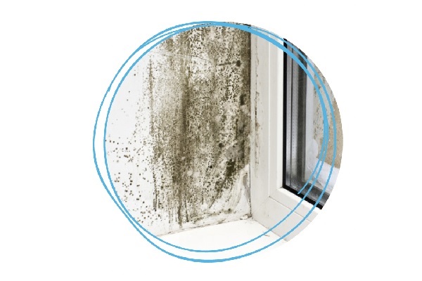 Damp, mould and condensation - Great Places