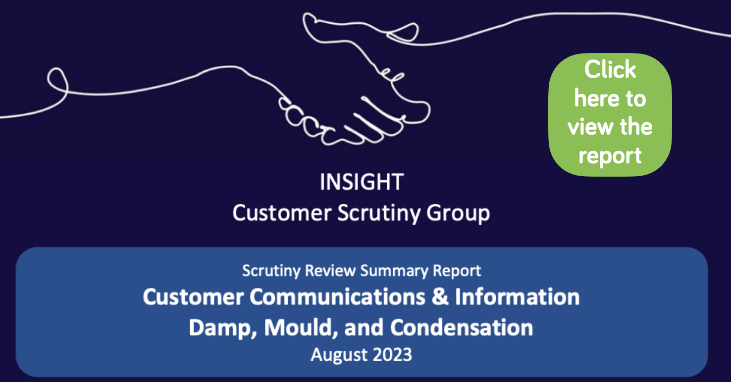 How has INSIGHT Customer Scrutiny Made a Difference - Great Places
